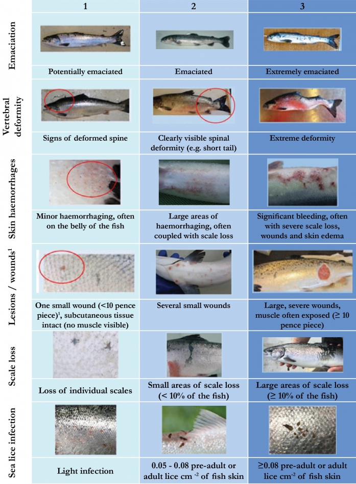 National Farm Animal Care Council - Farmed Salmonids Code of Practice
