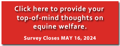 Equine - Codes of Practice for the care and handling of horses